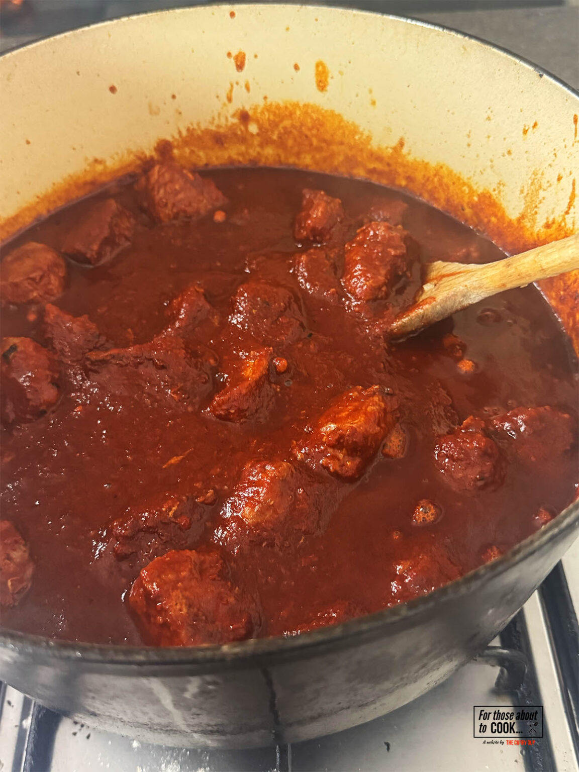 Chili Colorado | Mexican Beef Stew | For Those About To Cook